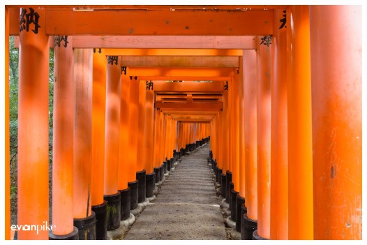 2015 Fall Photo Tour of Japan | Fushimi Inari Kyoto | Japan Photo Guide