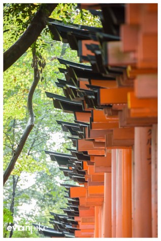 2015 Fall Photo Tour of Japan | Fushimi Inari Kyoto | Japan Photo Guide ...