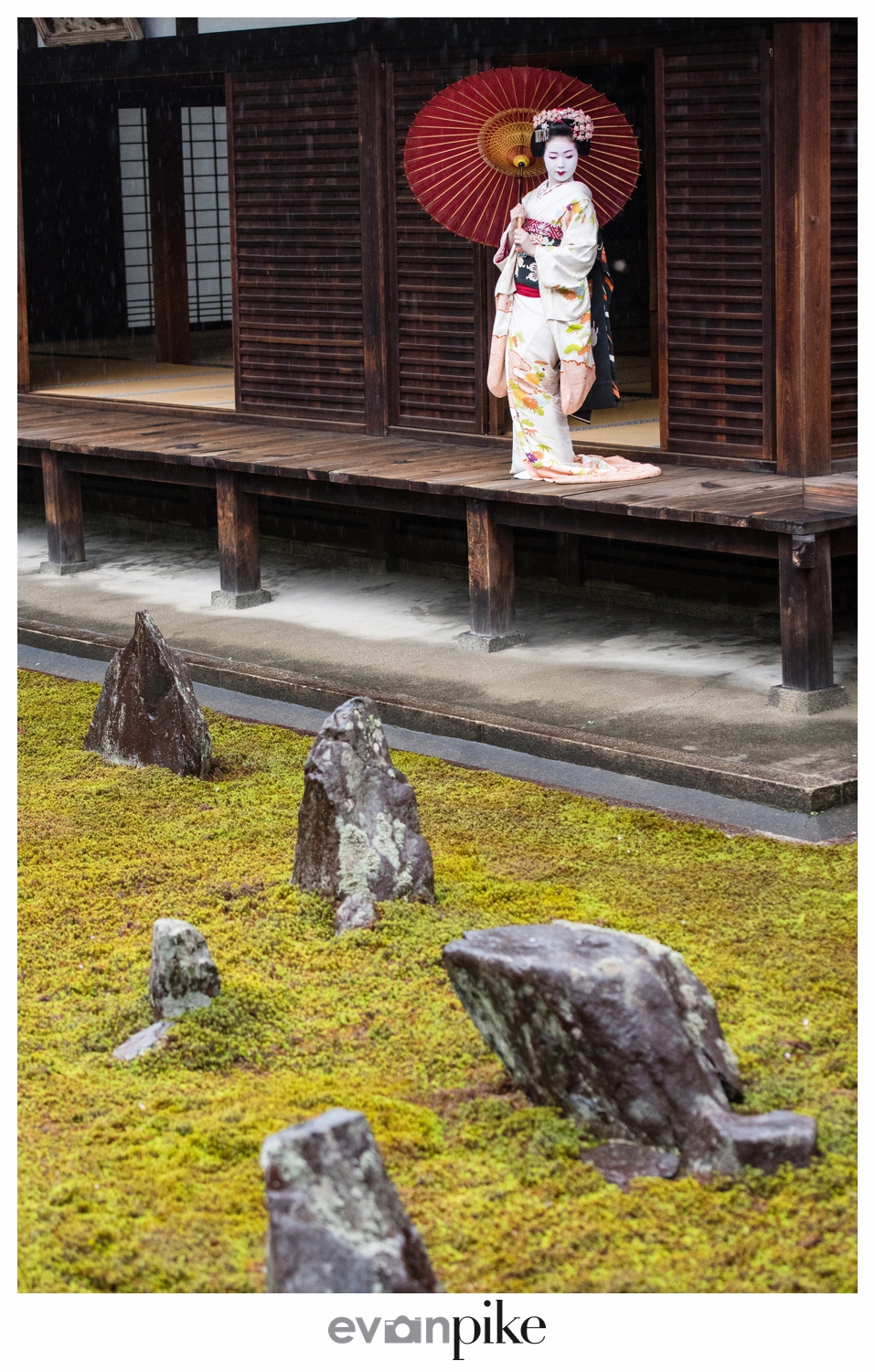 2016 Cherry Blossom Photography Tour of Japan | Maiko Portrait Session ...
