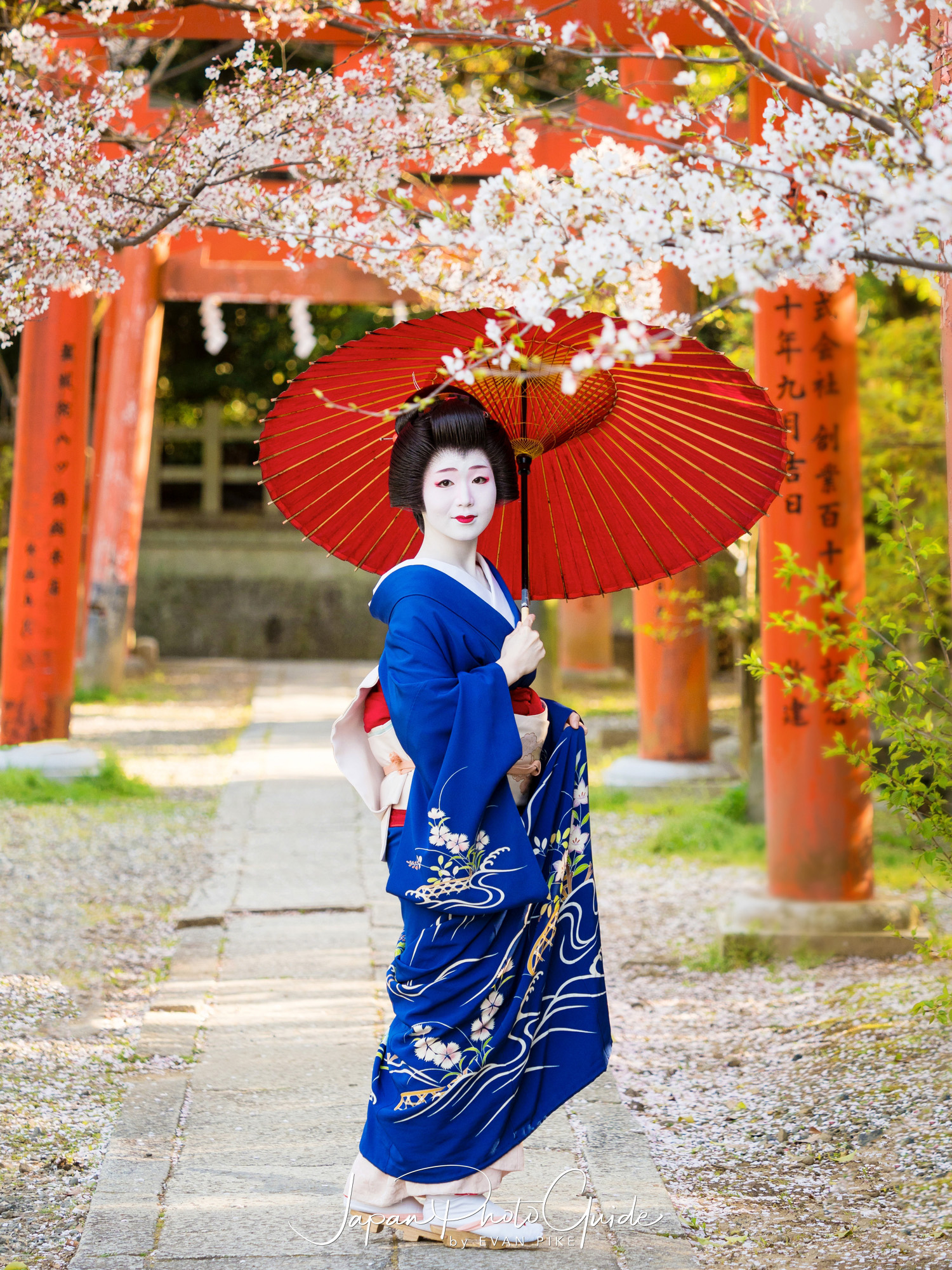 2019 Cherry Blossom Photo Tour | Kyoto Geiko Portrait Session | Japan ...